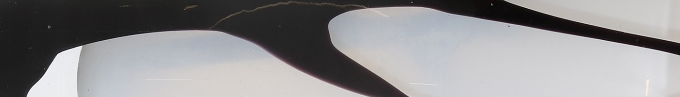 Vicke Lindstrand | Seeing the Wood and the Trees