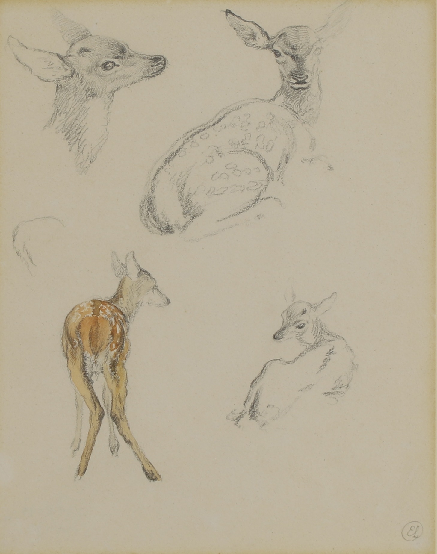 The Collection of Malcolm Innes