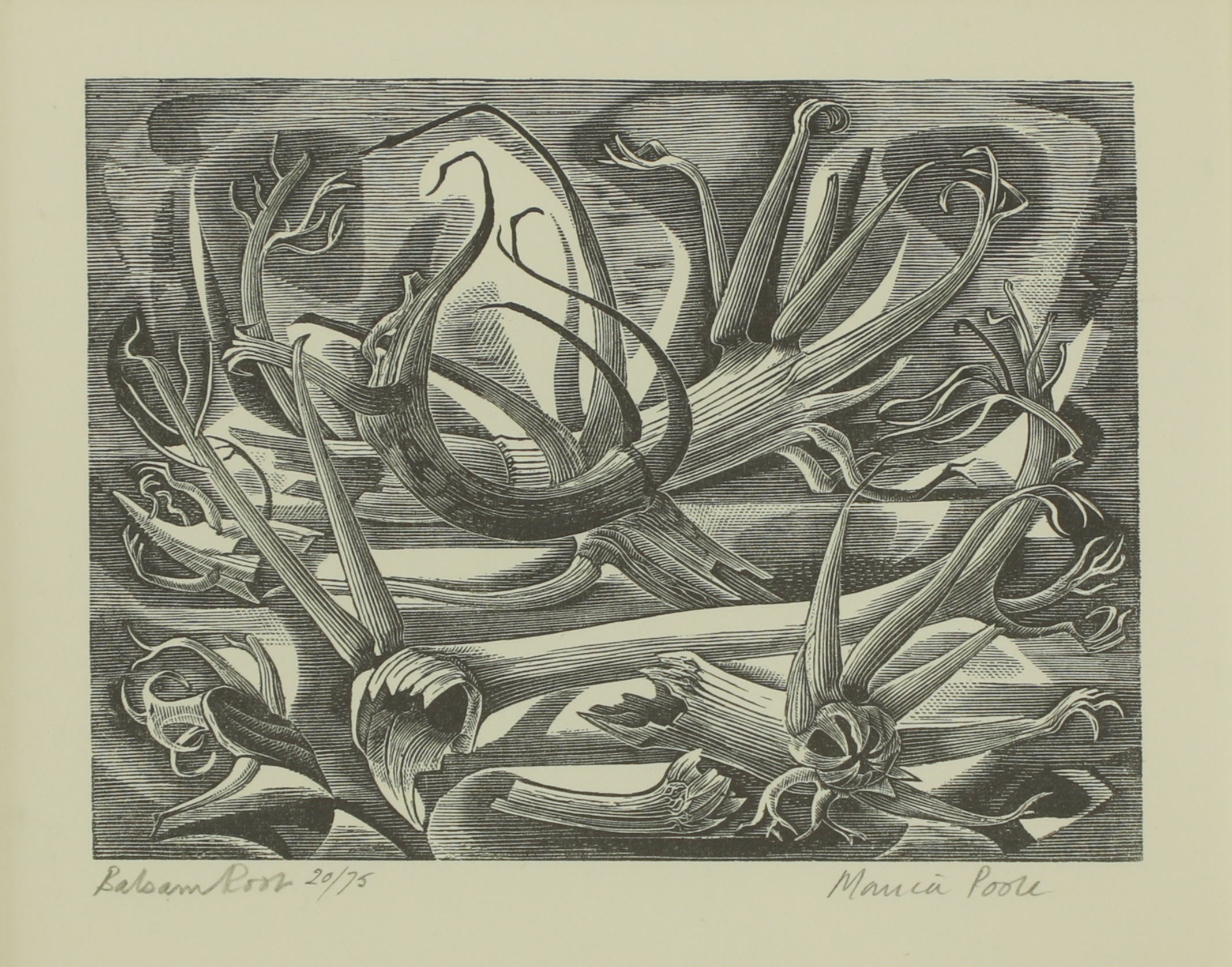 Lot 15 - Monica Poole (1921-2003)