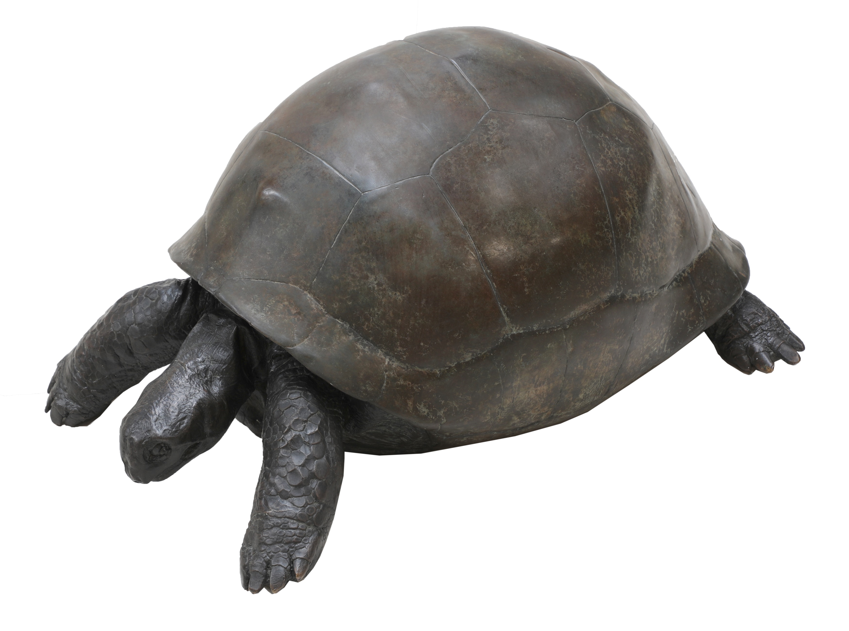 Lot 747 - A life-size bronze of a tortoise,