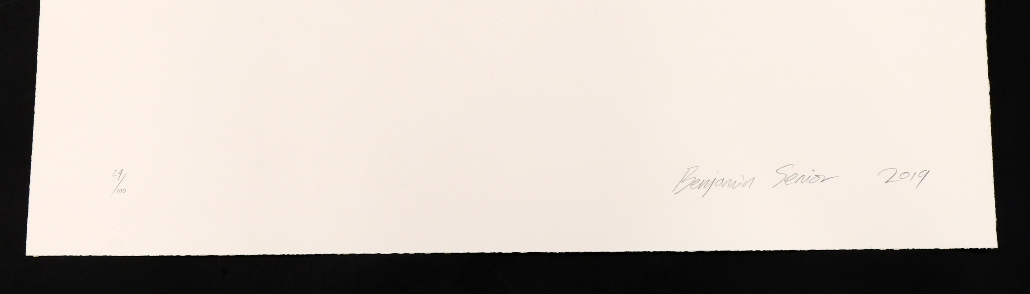 Lot 272 - Benjamin Senior (b.1982)