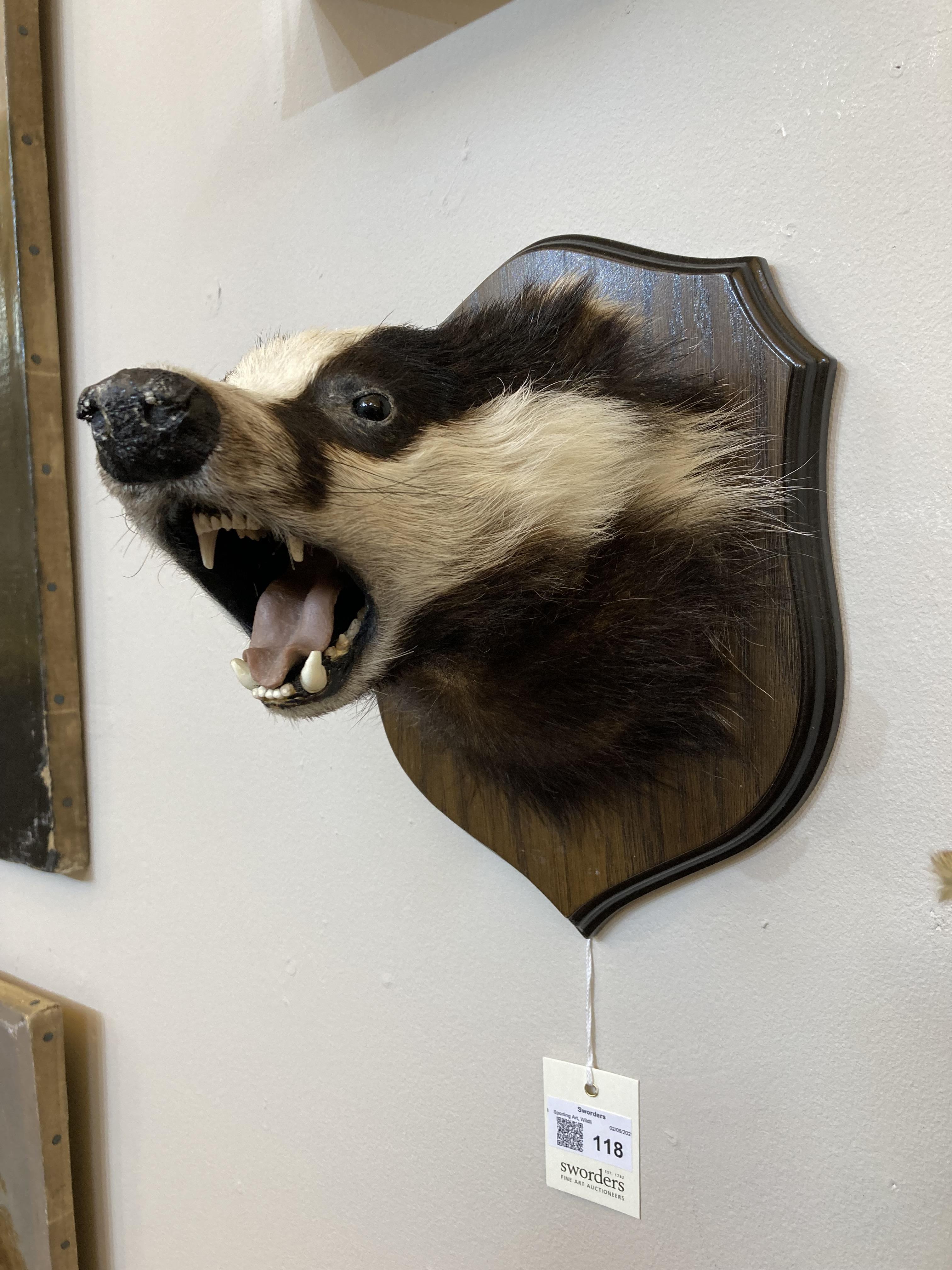 Lot 118 - Taxidermy: a badger mask