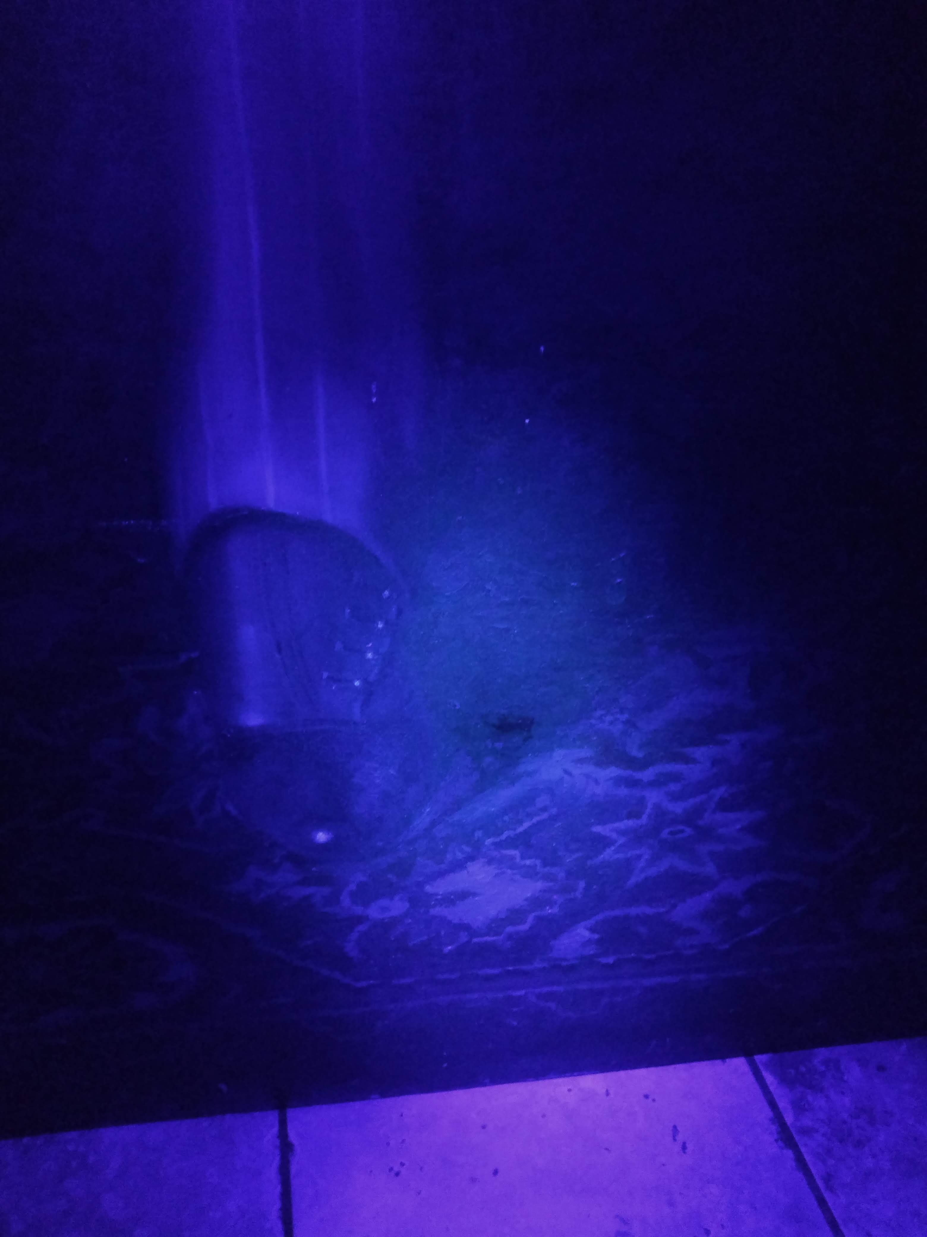 Lot 458 - Alexandre Girard (French, 19th century)