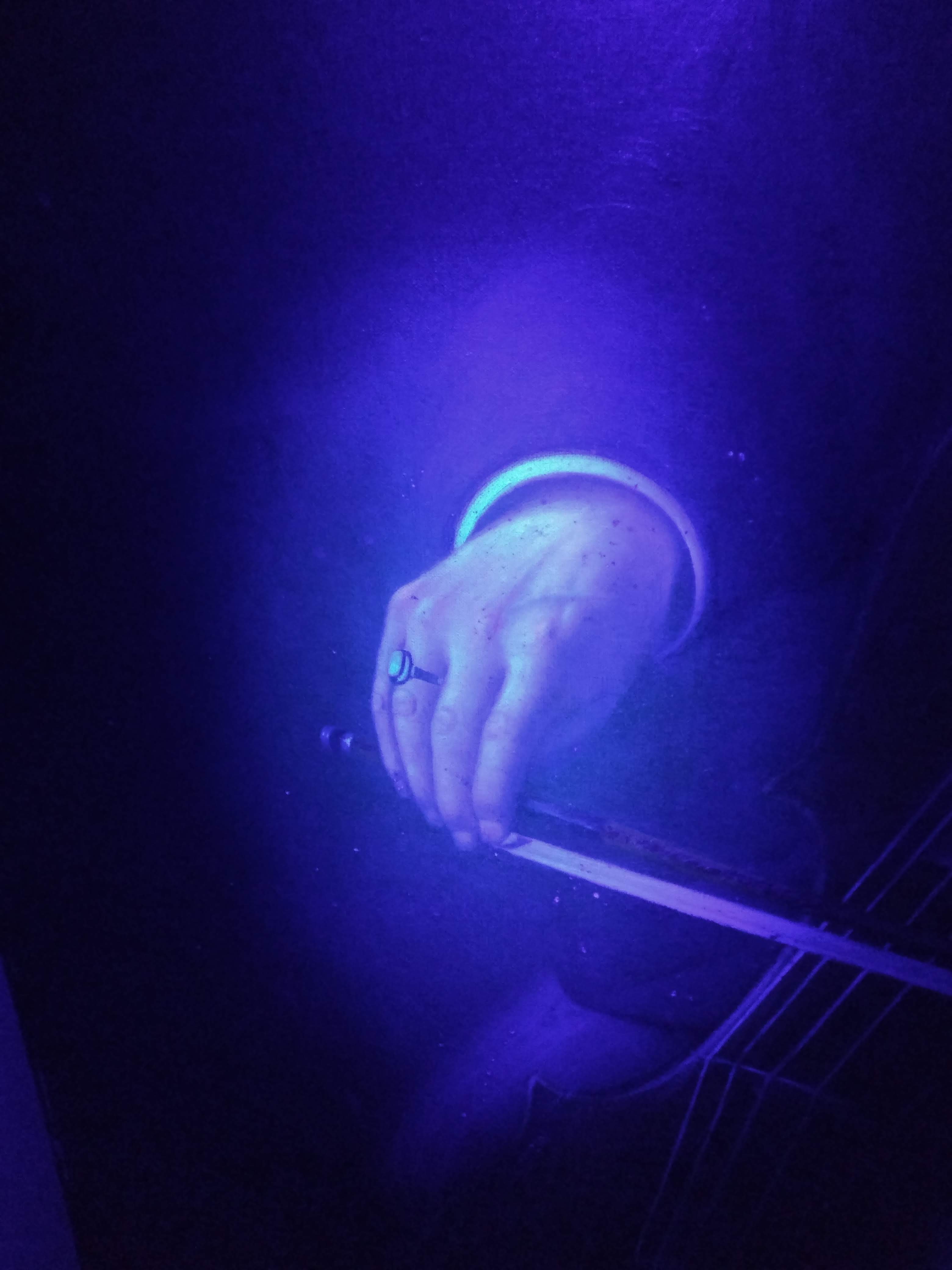 Lot 458 - Alexandre Girard (French, 19th century)