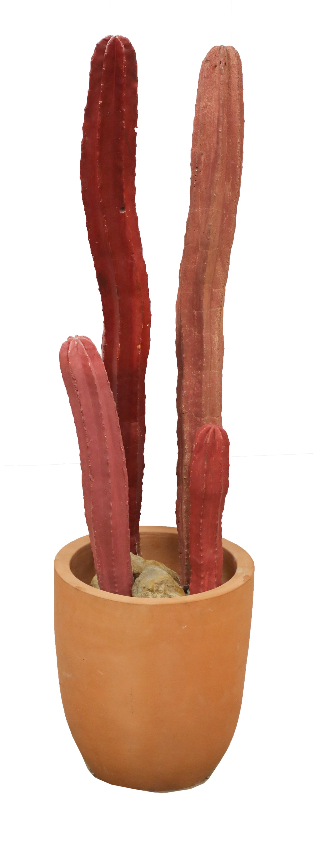 Lot 378 - Two painted cacti displays,