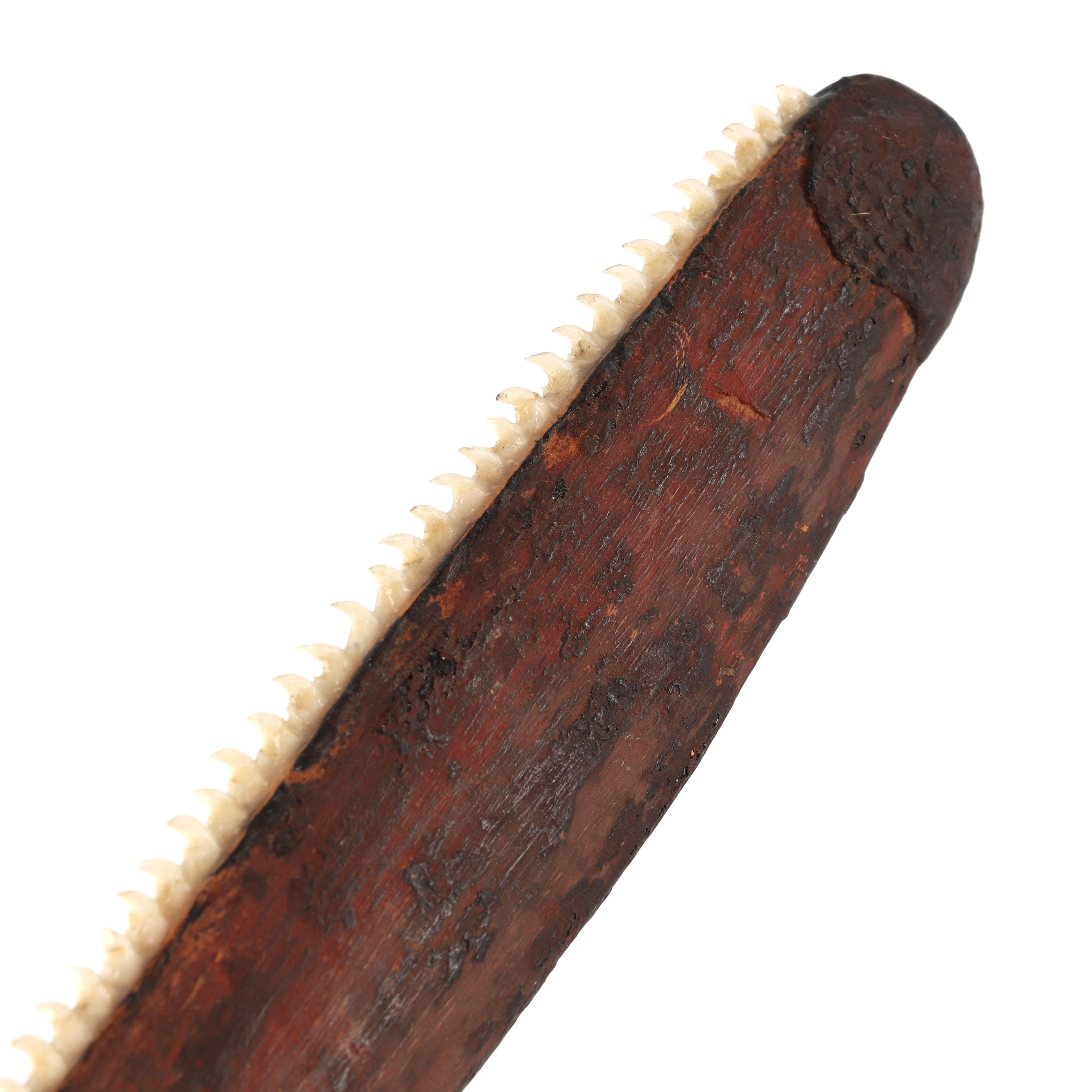 Lot 59 - An unusual Western Australian Aboriginal saw