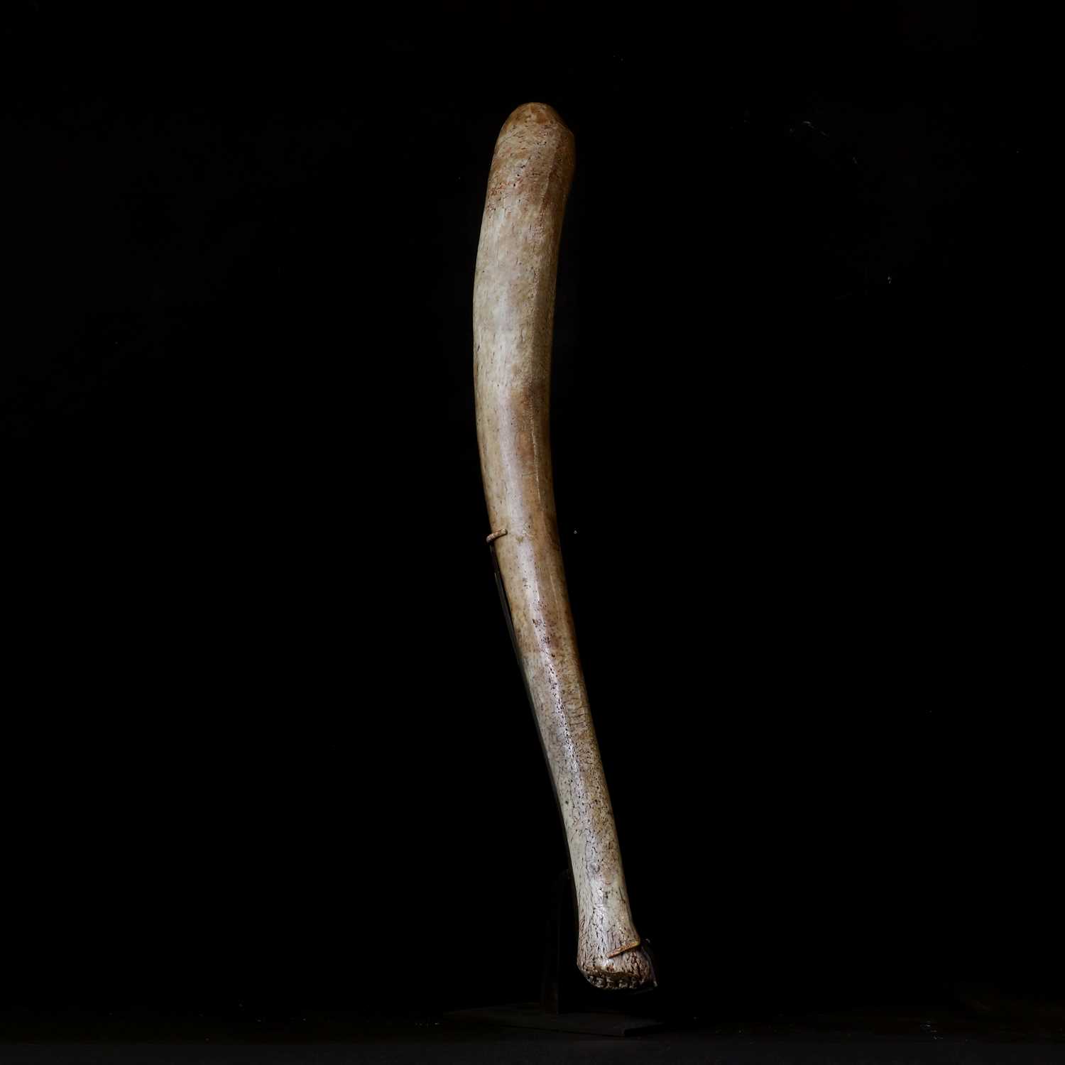 Lot 78 - A large Inuit Oosik club,