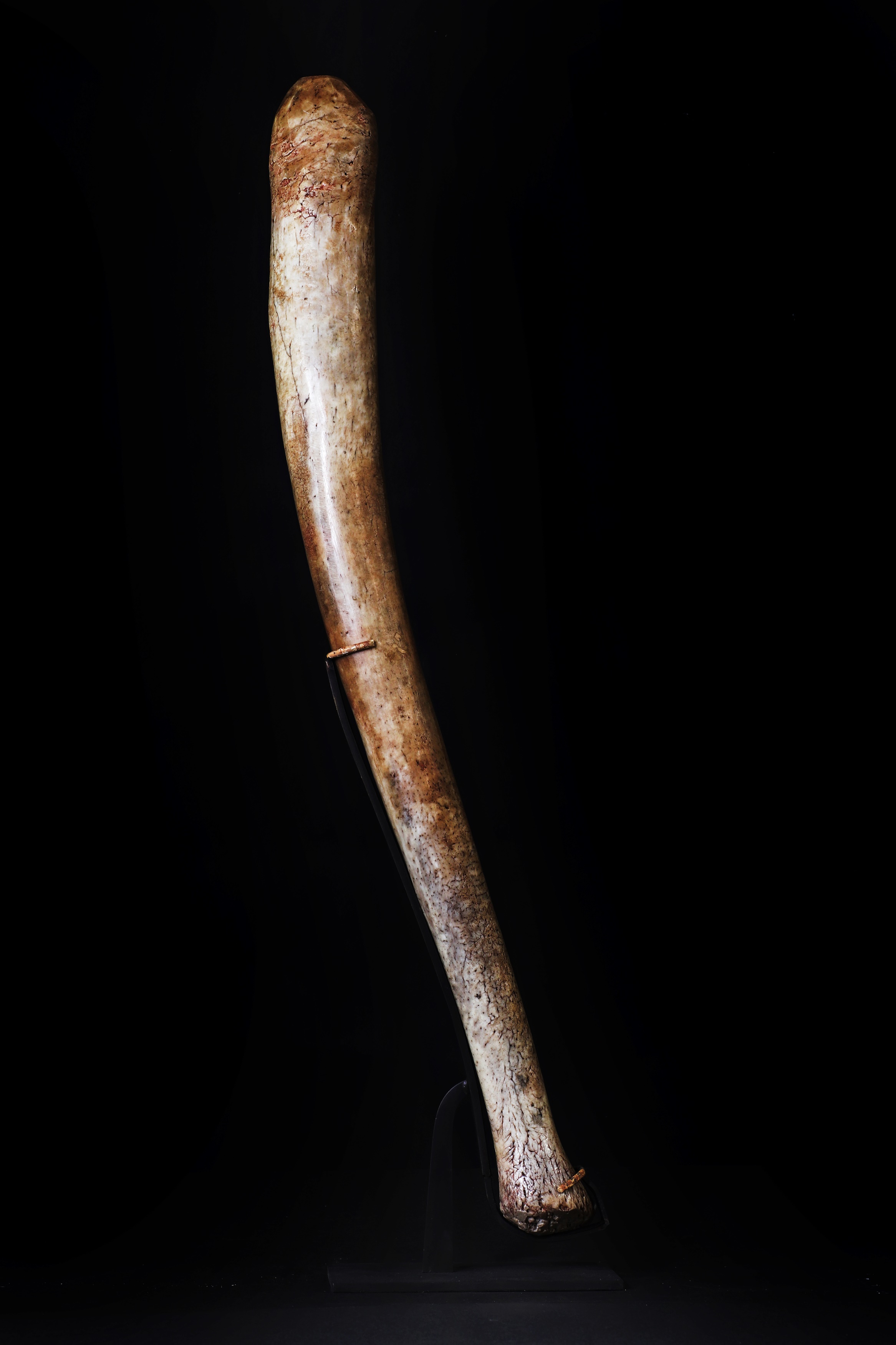 Lot 78 - A large Inuit Oosik club,