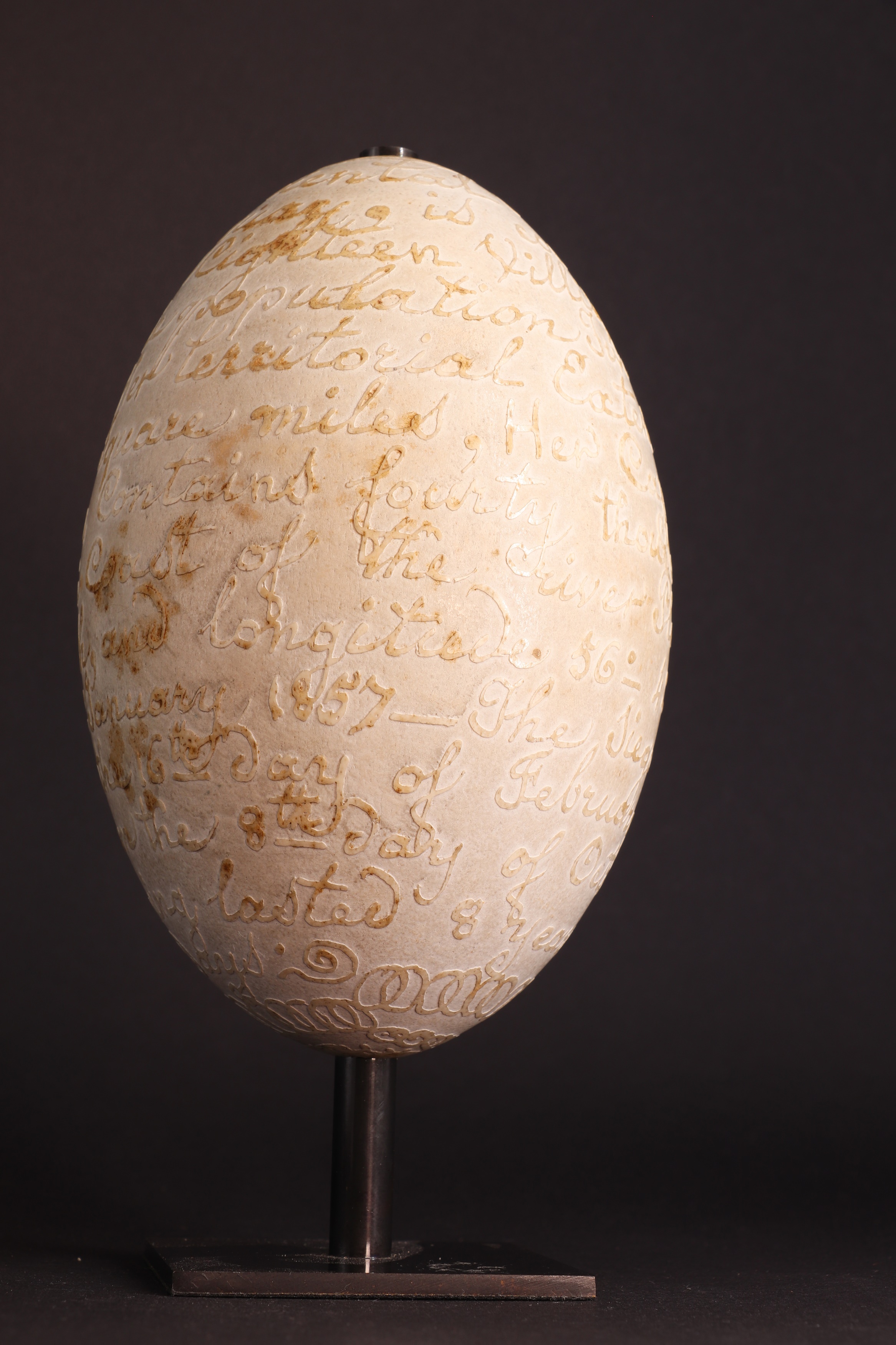Lot 11 - A carved rhea egg,