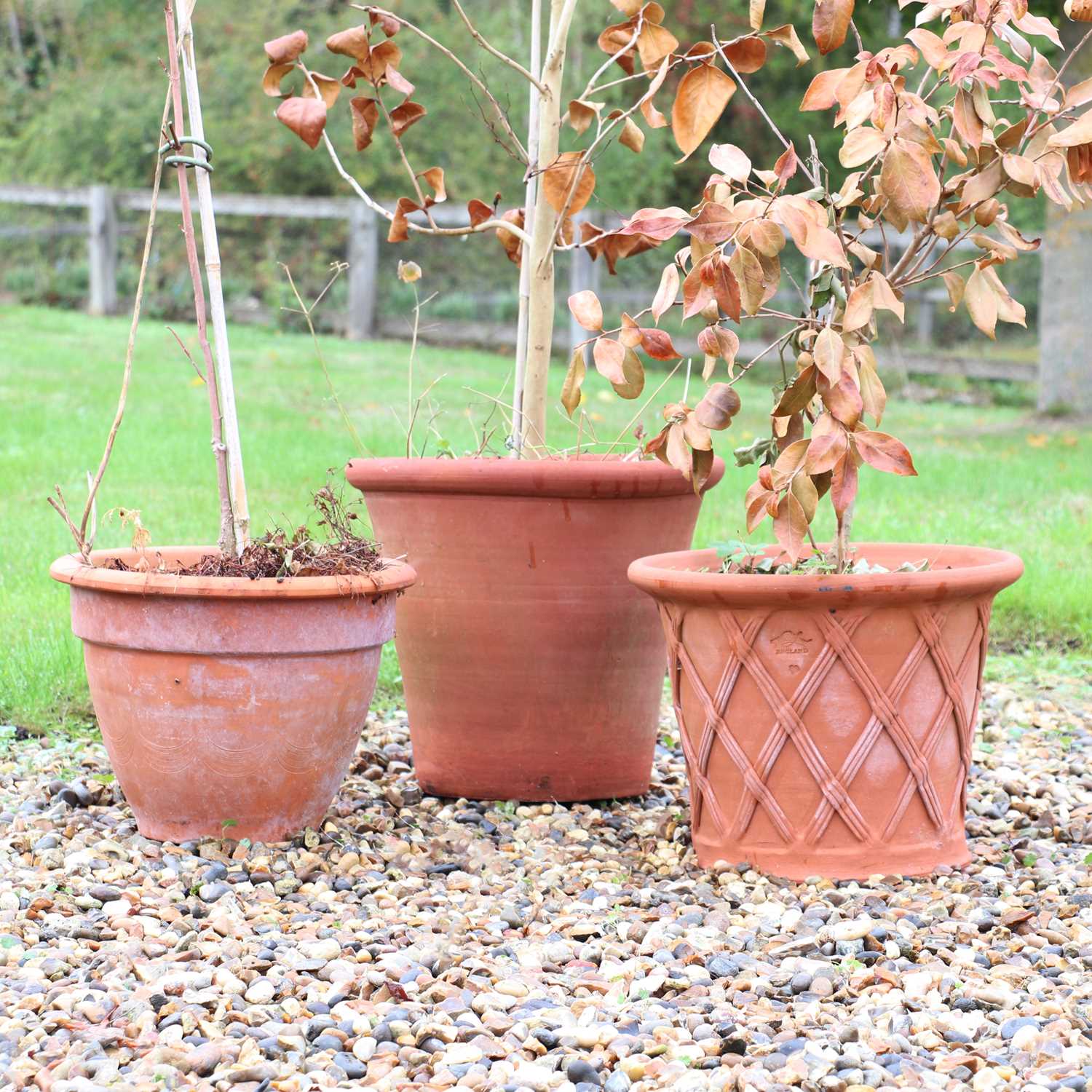 Lot 313 - Three Whichford Pottery terracotta pots,