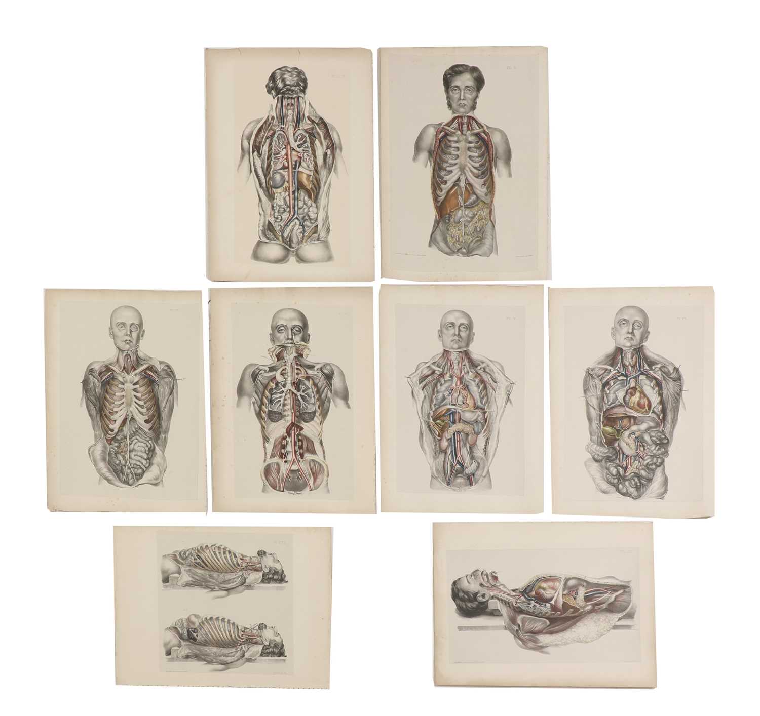 Lot 417 - A group of eight Victorian anatomical
