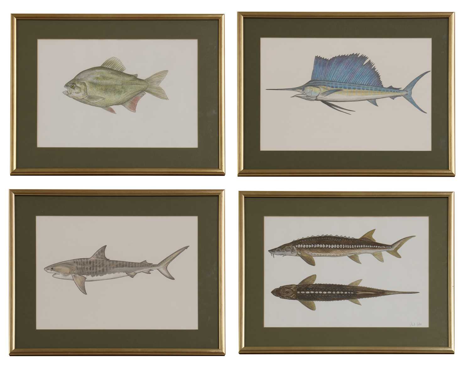 Lot 259 - Phil Coles (contemporary)