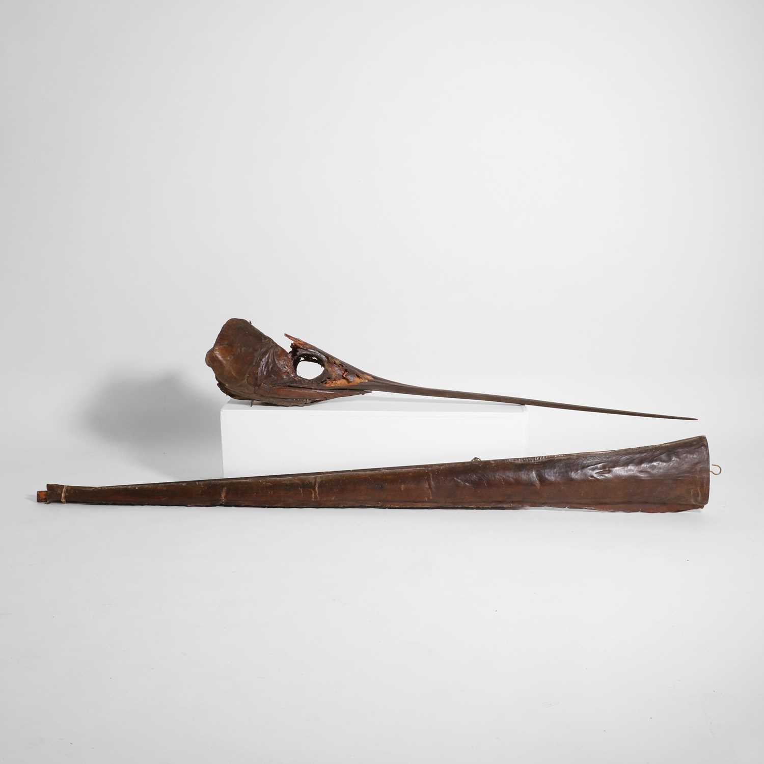 Lot 227 - Taxidermy: a swordfish head and rostrum,
