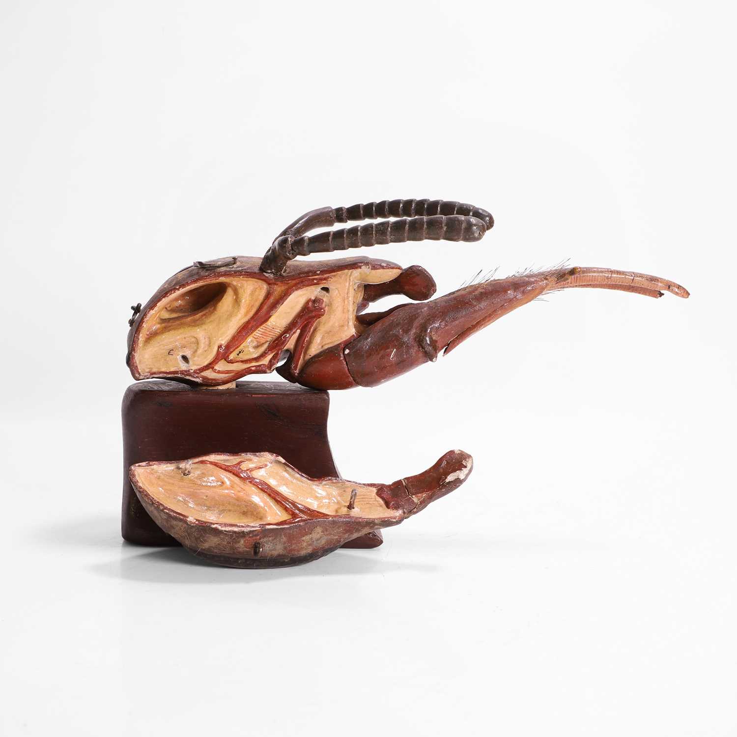 Lot 461 - A painted papier mâché, wood and plaster