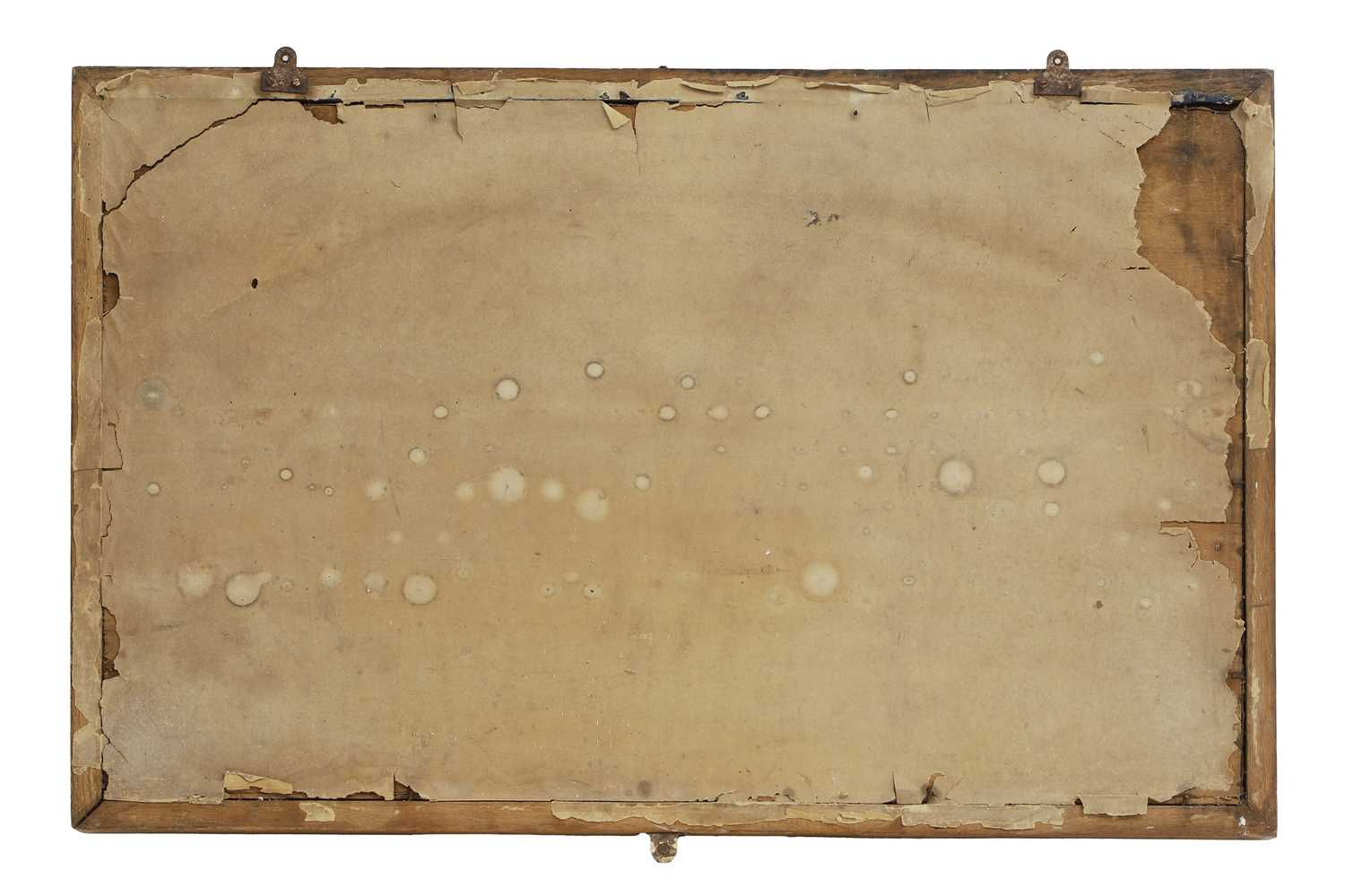 Lot 503 - A specimen grasses and seeds display,
