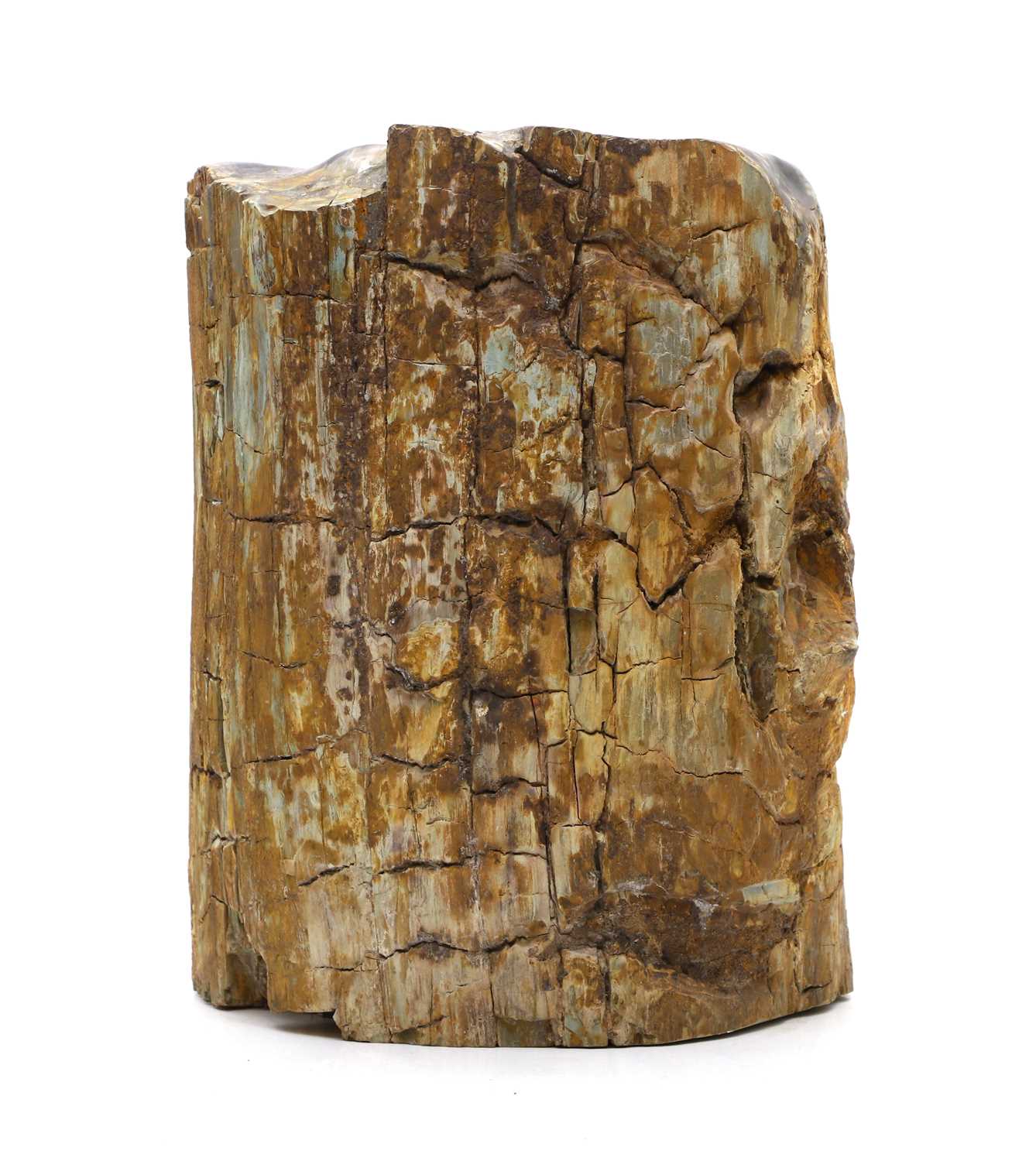 Lot 244 - Fossils - a petrified and polished tree
