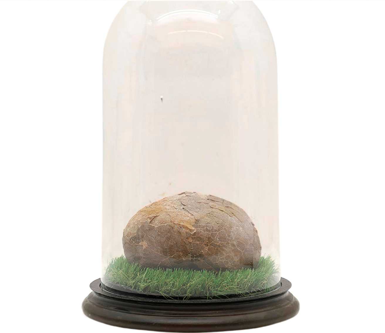 Lot 634 - Fossils - a Hadrosaur egg